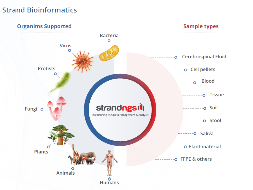 Next-Generation Sequencing (NGS) – SLS RESEARCH PRIVATE LIMITED